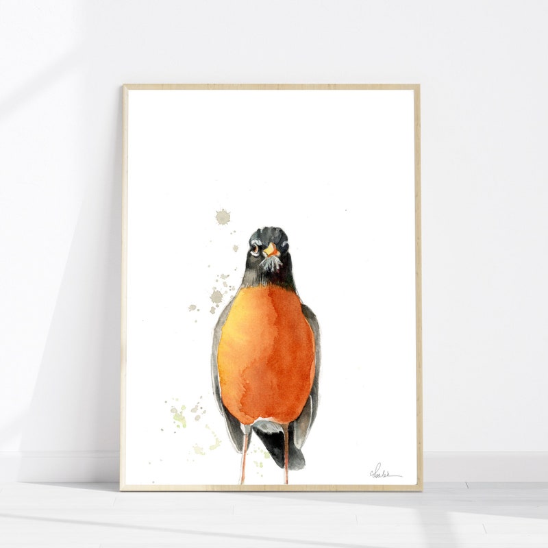 Framed Robin Bird Print - Etsy