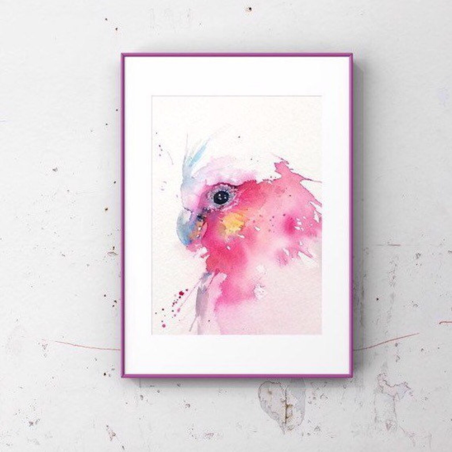 Galah Watercolor Print From My Australian Wildlife | Etsy