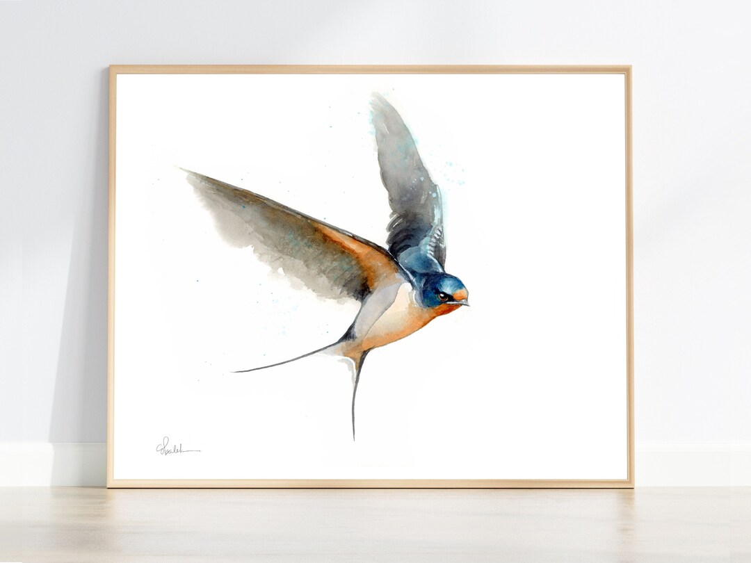 Barn Swallow Flying Watercolour Painting Bird Print - Etsy