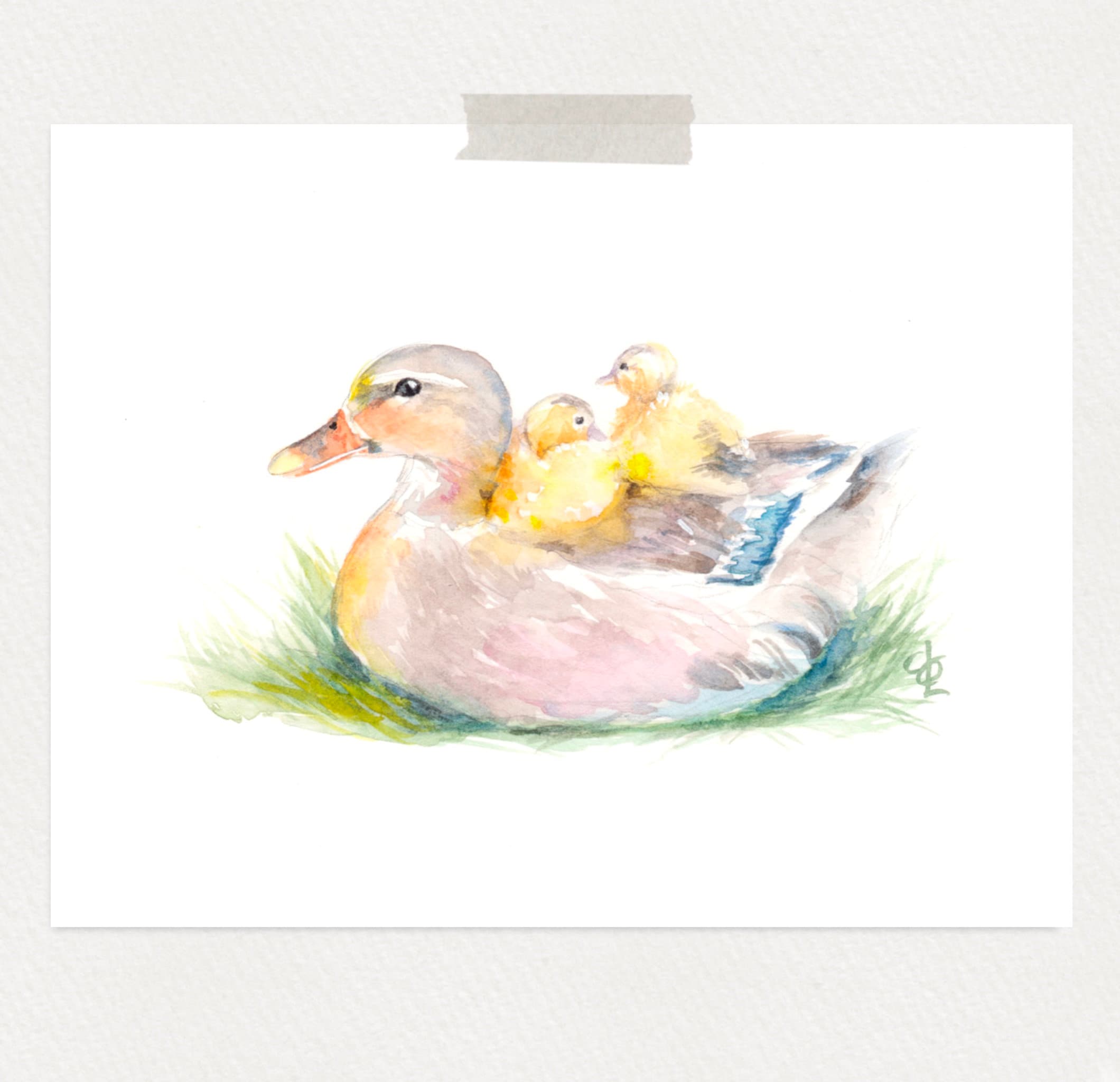 Mother Duck Drawing