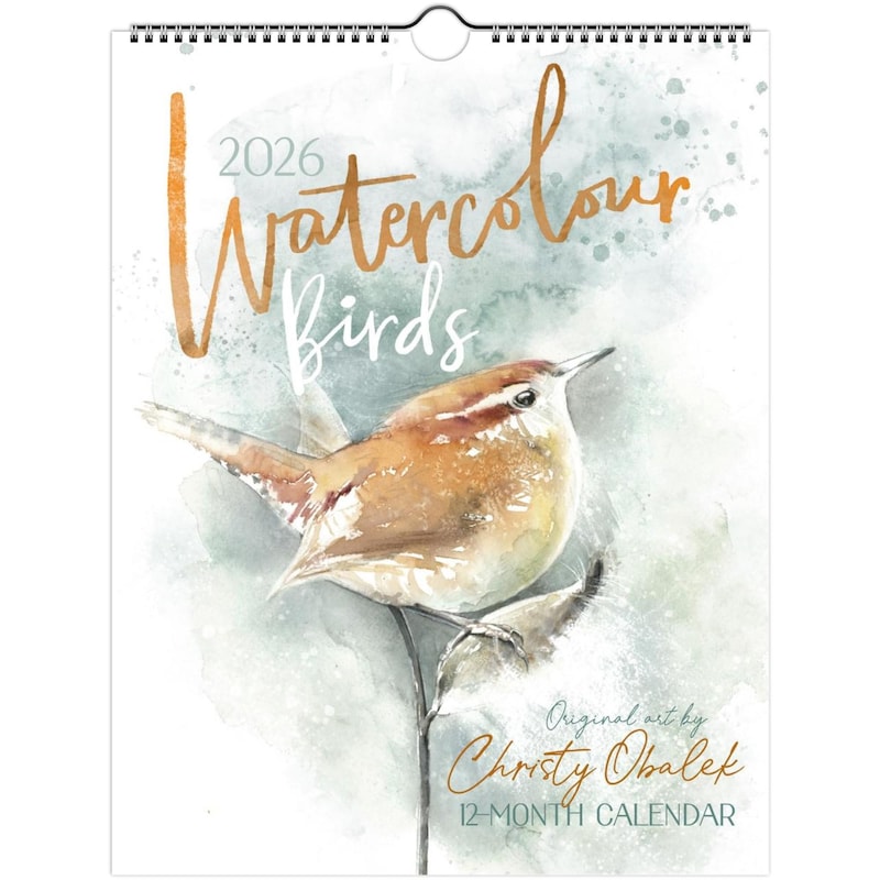 Small Bird Calendar 2026 - Etsy