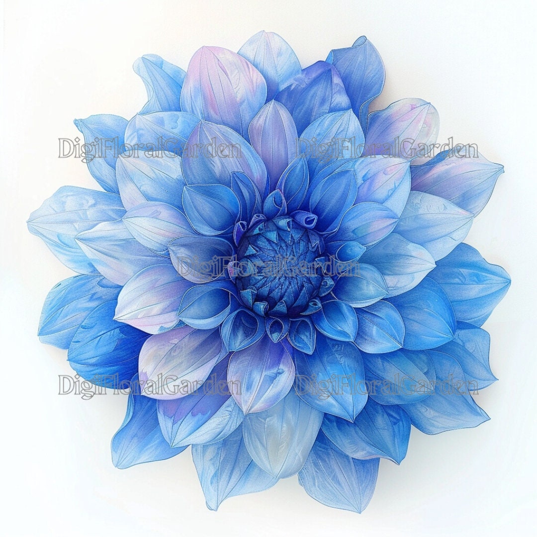 Blue-ish/purple-ish Dahlia Flowers PNG Files - 12 Different Shades of ...