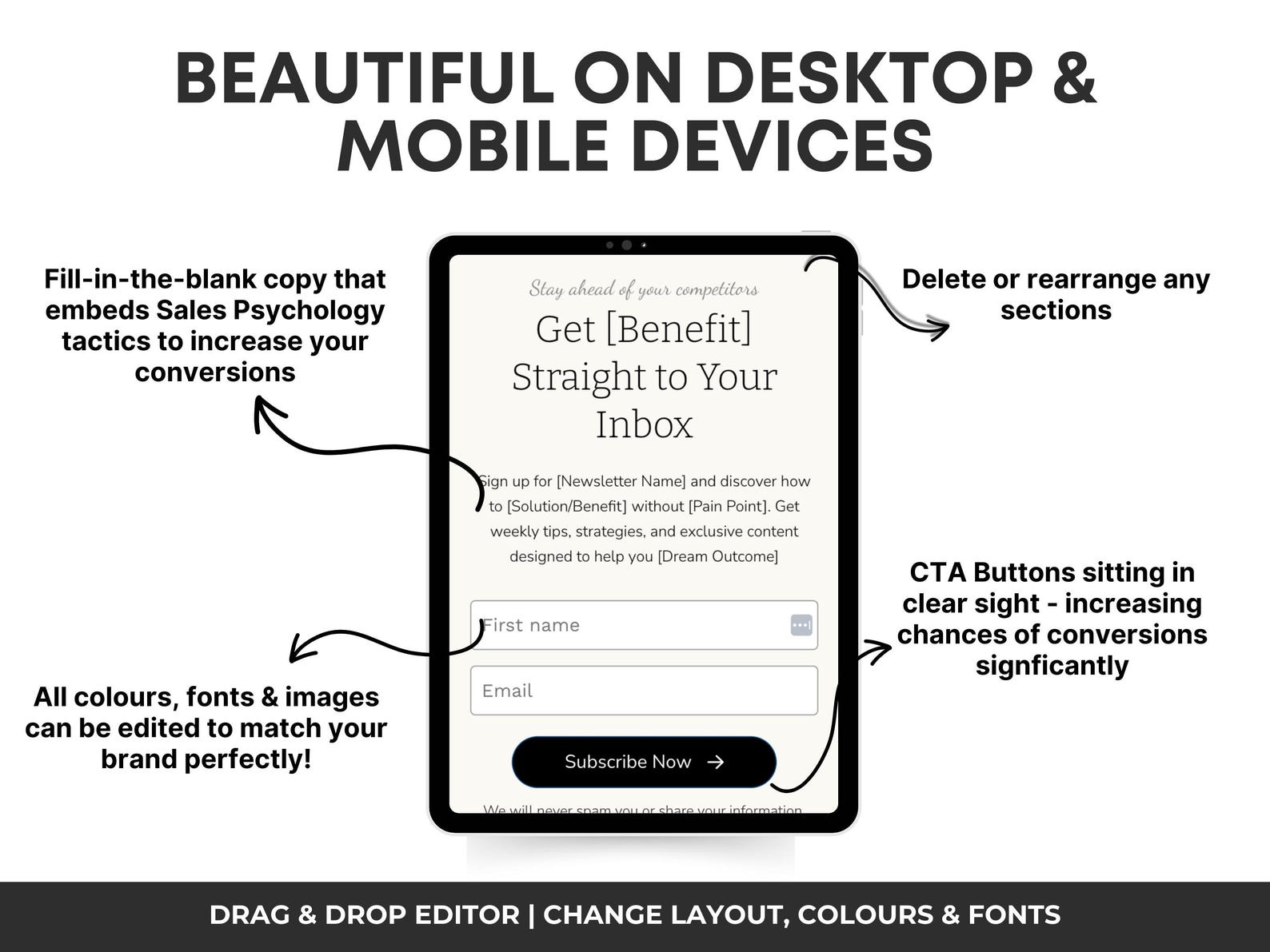 Systeme.io Newsletter Sales Page Template Lead Magnet Funnel Opt in ...