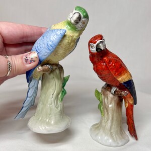 Pair of Sitzendorf Porcelain Parrots German Art Bird Signed Rare - Etsy