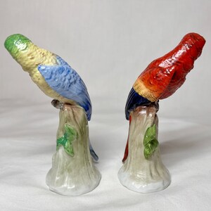 Pair of Sitzendorf Porcelain Parrots German Art Bird Signed Rare - Etsy