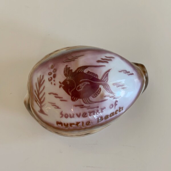 Shell Souvenirs - Etsy