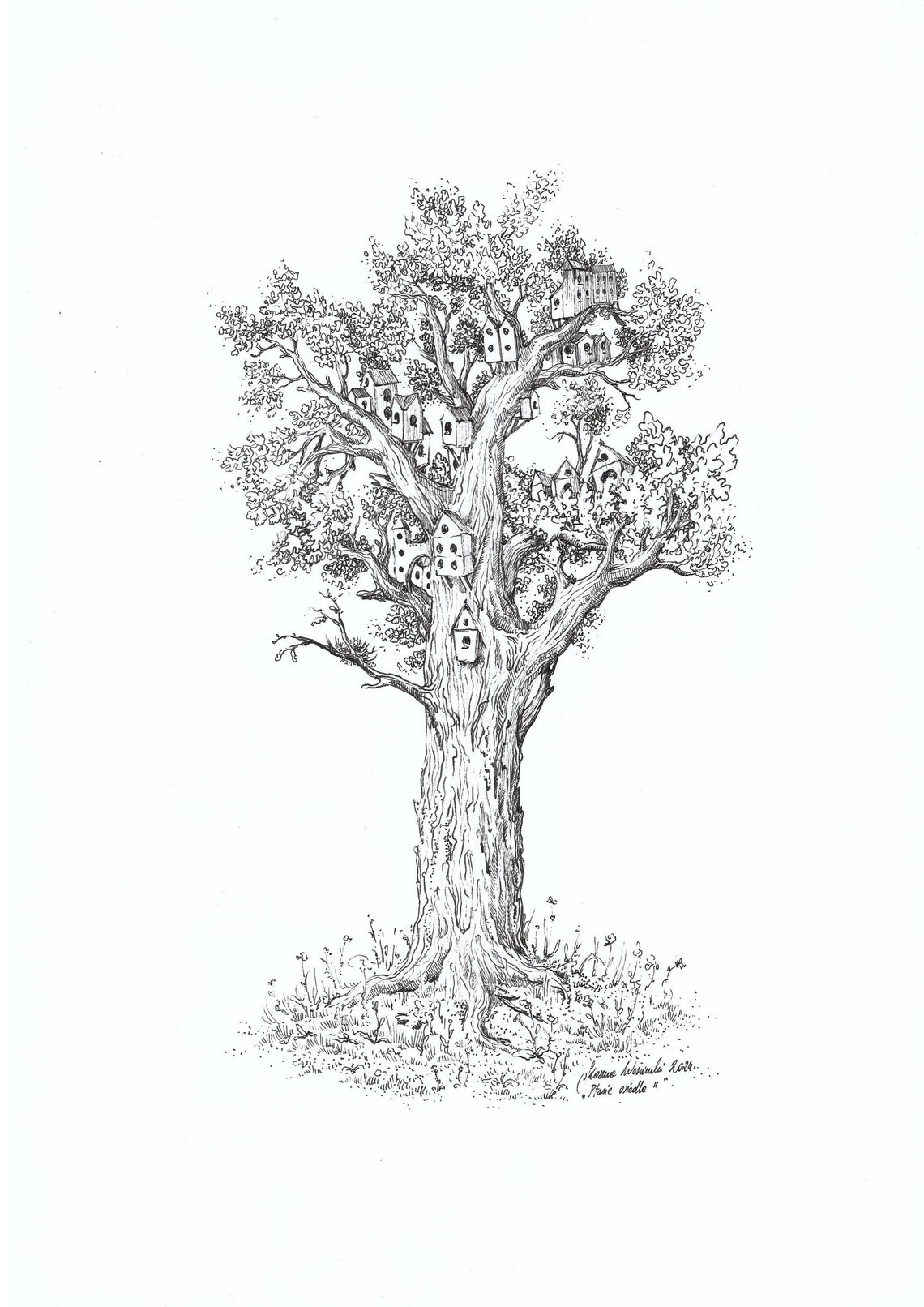 Tree Drawing, Original, Traditional, Hand Drawn, for Print. Botanical ...