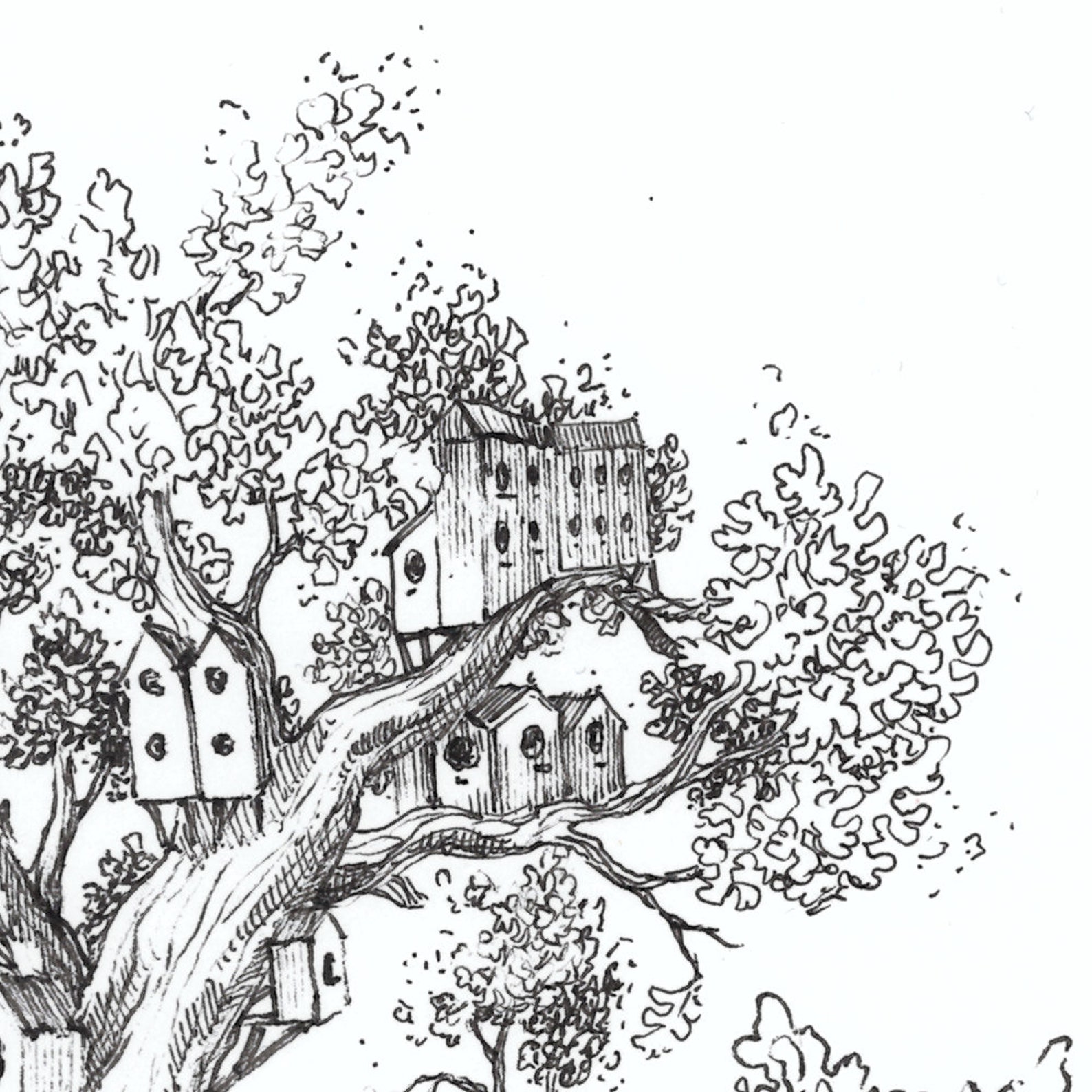 Tree Drawing, Original, Traditional, Hand Drawn, for Print. Botanical ...