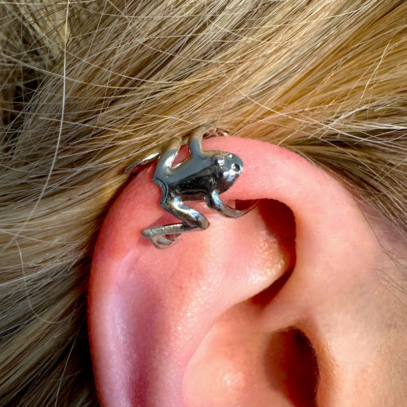 Frog Earrings - Etsy