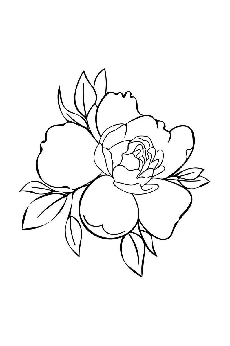 Printable Flowers in Bloom Coloring.explore the Beauty of Nature With ...