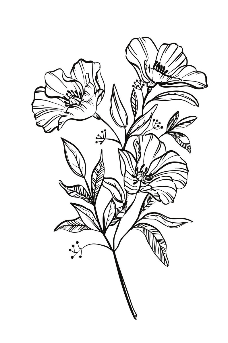 Printable Flowers in Bloom Coloring.explore the Beauty of Nature With ...