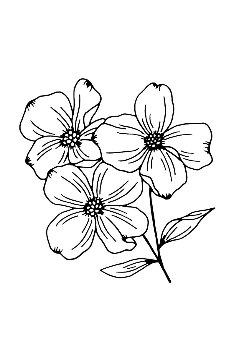 Printable Flowers in Bloom Coloring.explore the Beauty of Nature With ...