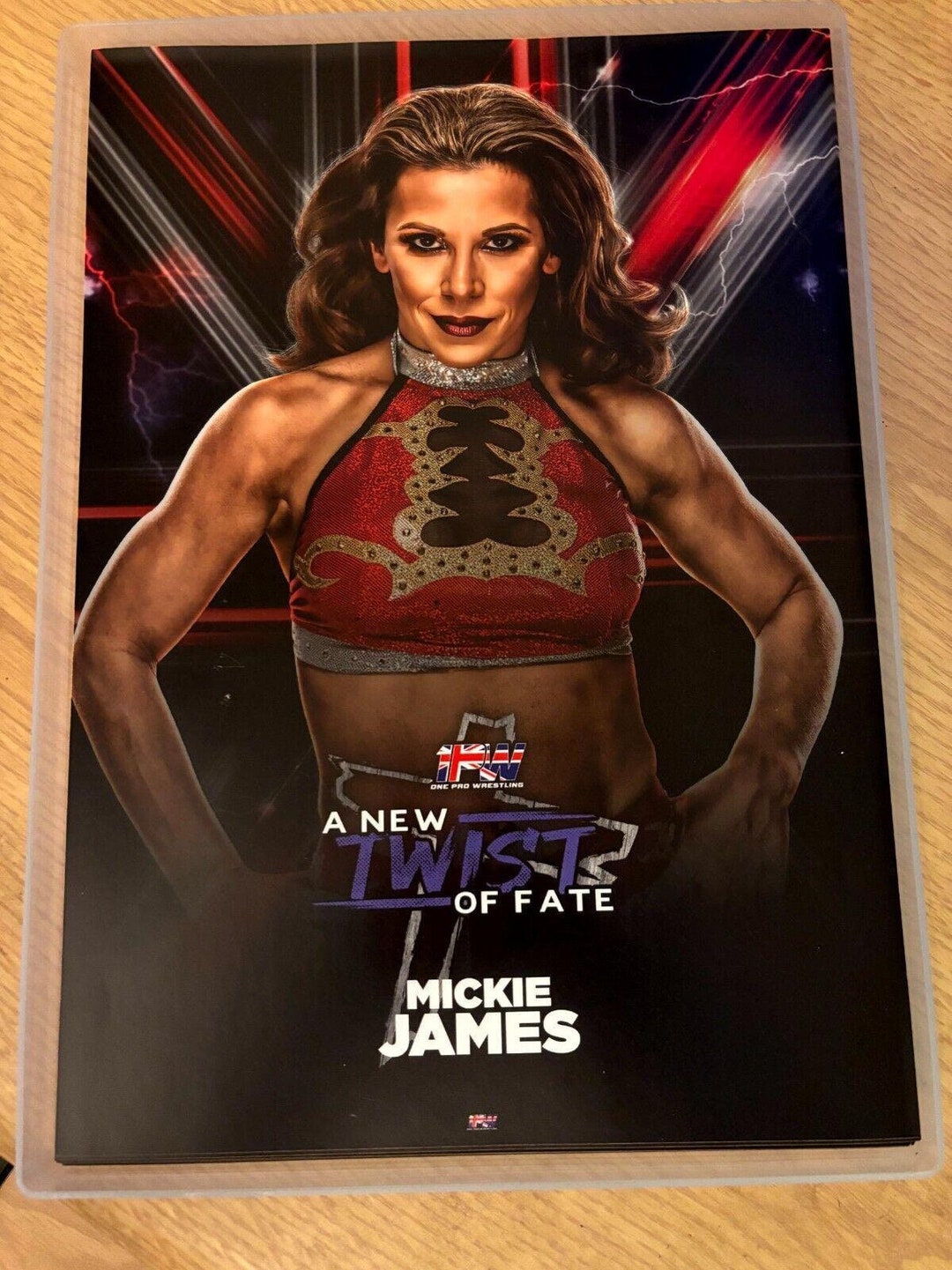 Mickie James A4 Poster - 1PW Wrestling (NEW) - Etsy