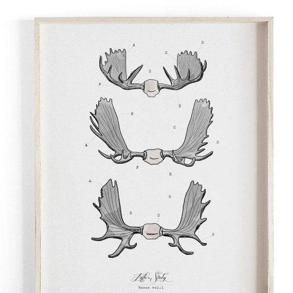 Antler Print - Etsy