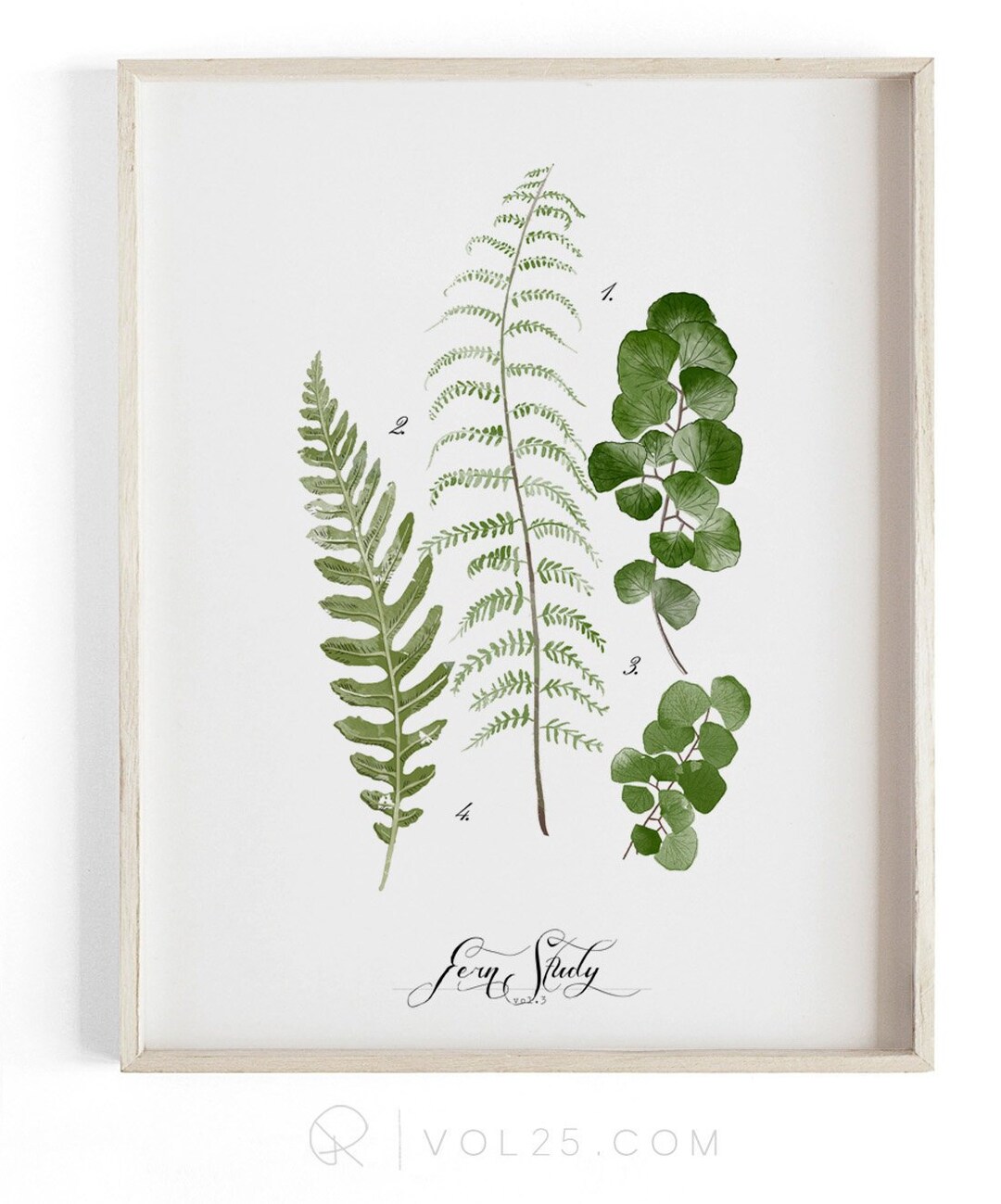 Fern Study Vol.3 - Watercolor Llustration. Beautifully Textured Cotton ...