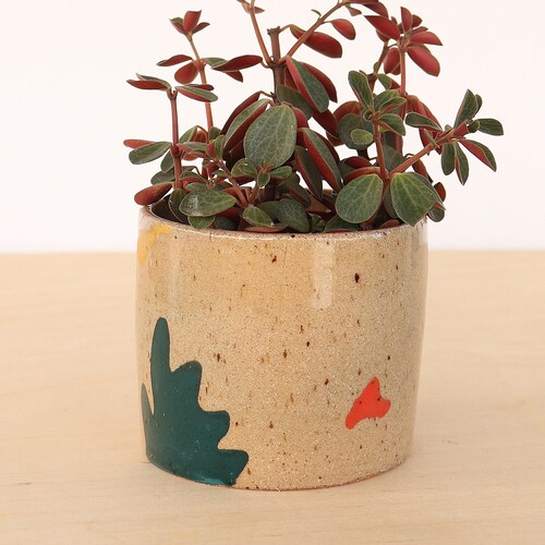 Colorful Planter / Modern Ceramic Plant Pot / Cactus Planter / - Etsy