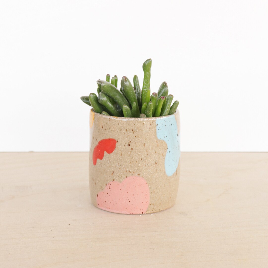 3 Inch Colorful Planter Modern Ceramic Plant Pot Cactus Planter Indoor ... 3 Inch Colorful Planter Modern Ceramic Plant Pot Cactus Planter Indoor ...