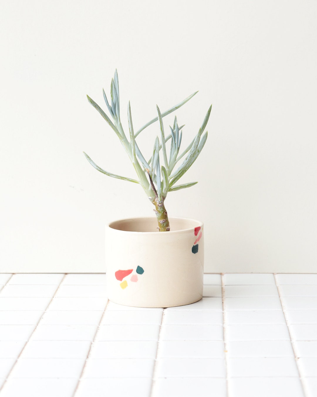 Colorful Ceramic Planter Modern Pottery Plant Pot Terrazzo Style Cactus ...