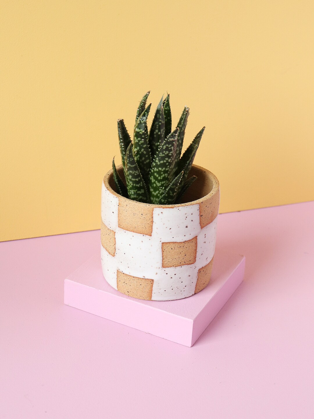 Checkerboard Planter | Small Succulent Planter | Checkerboard Plant Pot ...