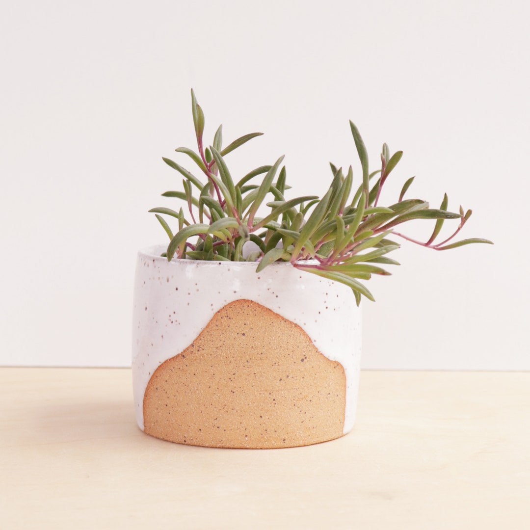 Ceramic Planter / Small Indoor Planter / Cactus Plant Pot / Succulent ...