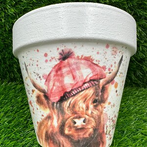 Highland Cow Plant Pot, Inside or Out Pot - Etsy UK