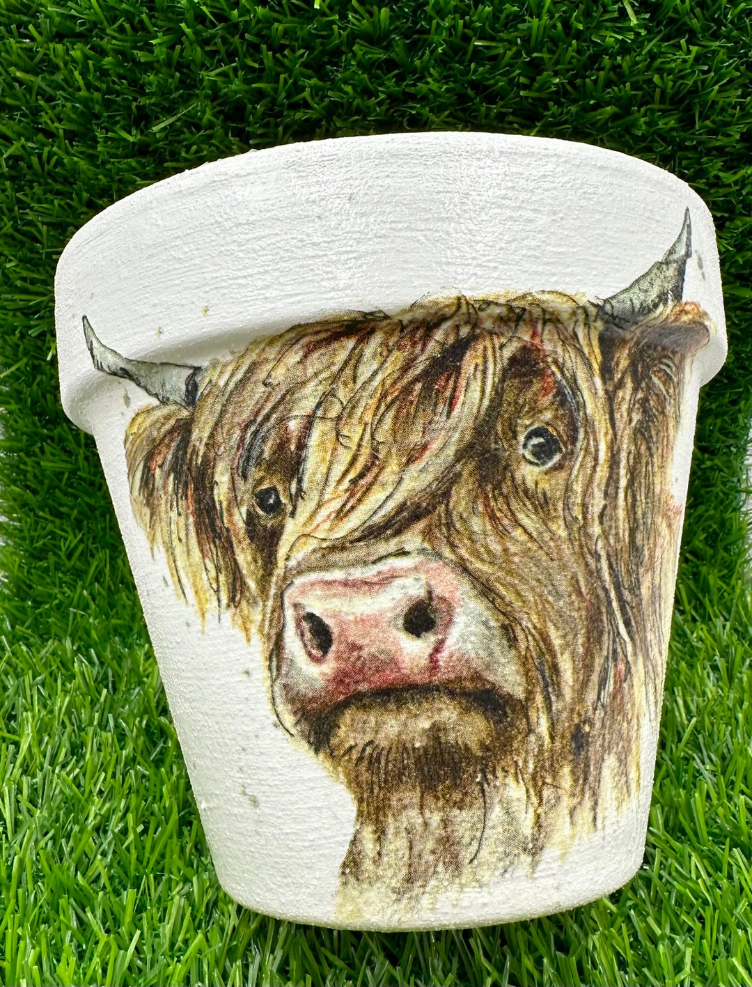 Highland Cow Plant Pot, Inside or Out Pot - Etsy