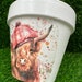 Highland Cow Plant Pot, Inside or Out Pot - Etsy UK