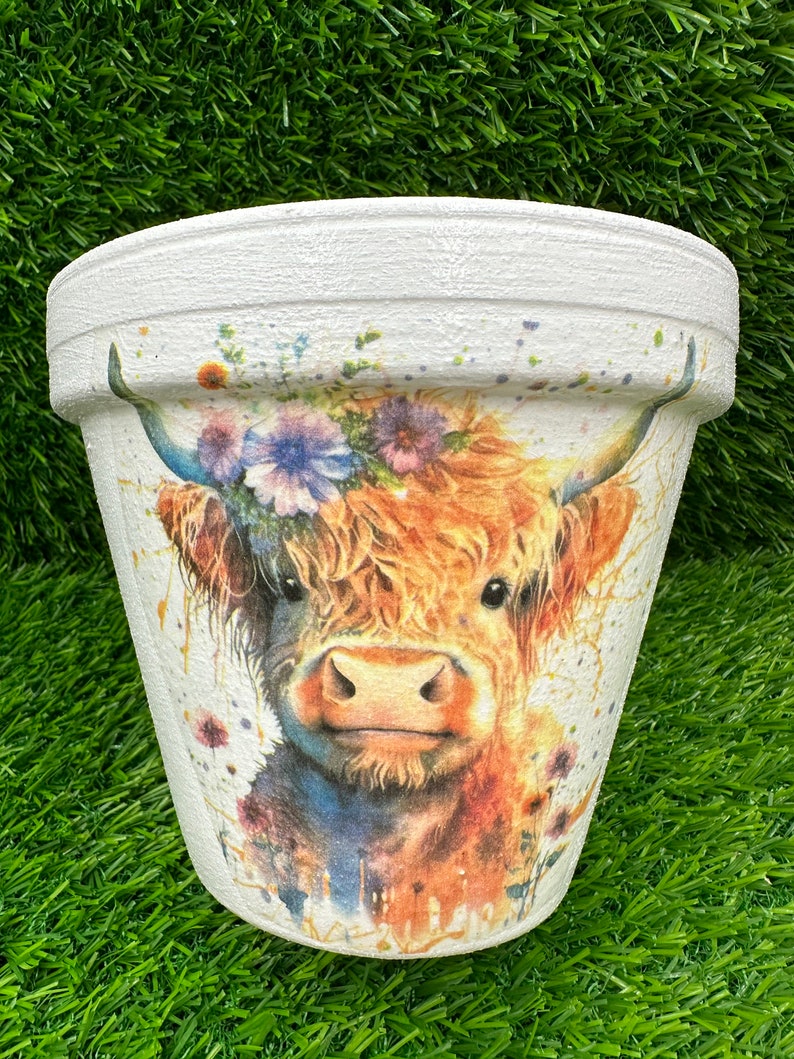 Highland Cow Plant Pot, Inside or Out Pot - Etsy UK