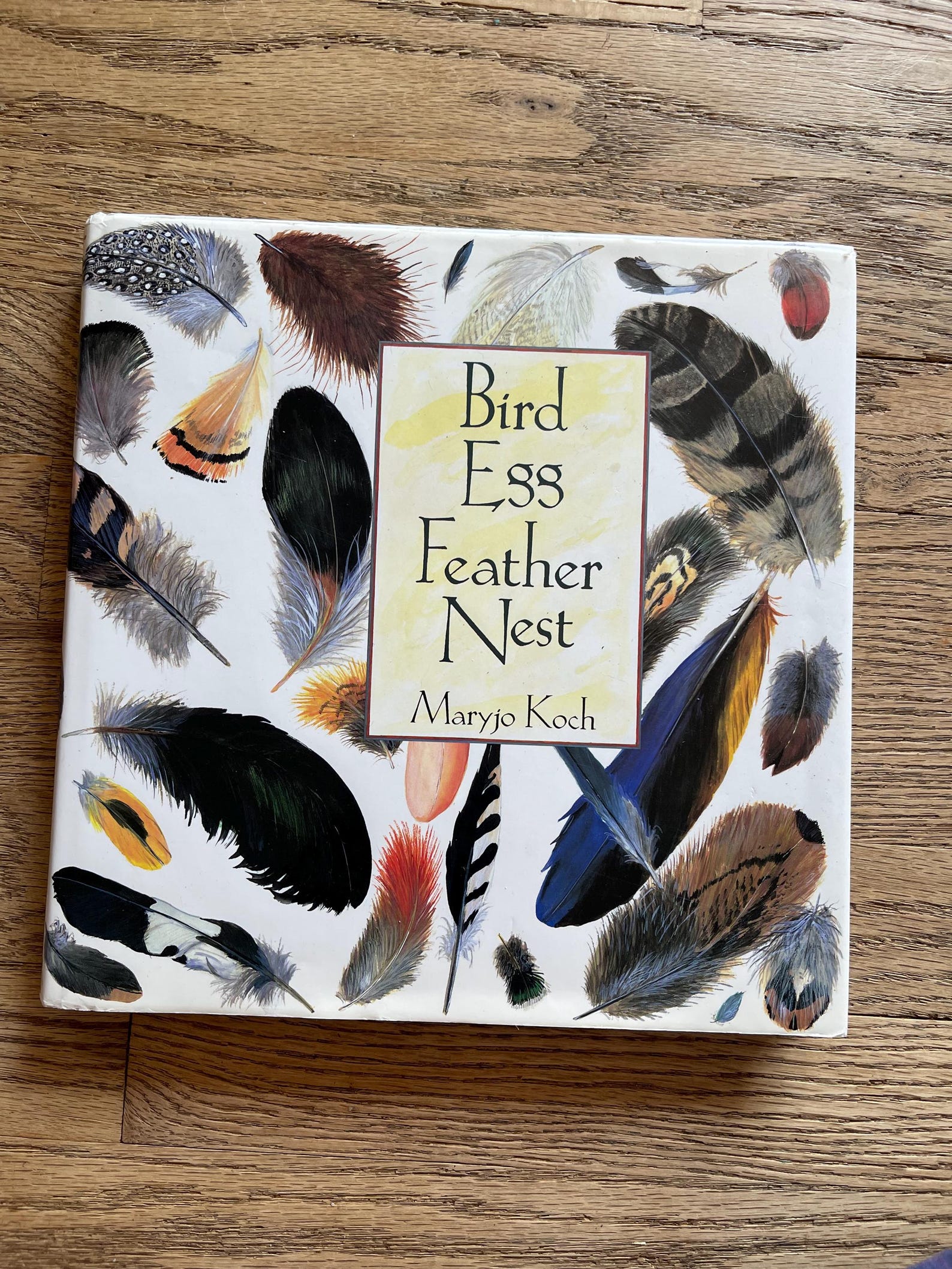 Maryjo Koch Nature Illustration Coffee Table Book: Botanical Poetry - Etsy