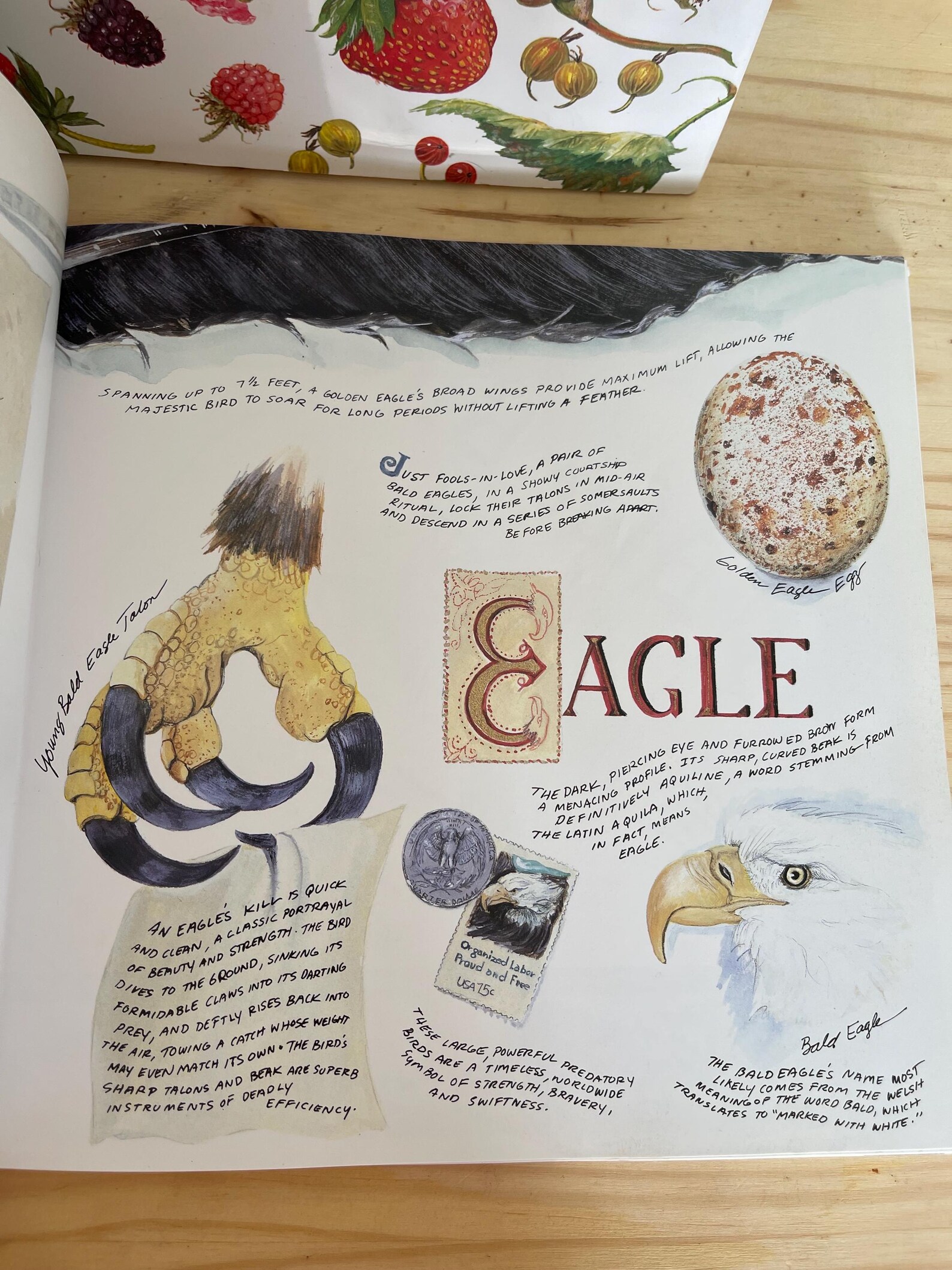 Maryjo Koch Nature Illustration Coffee Table Book: Botanical Poetry - Etsy