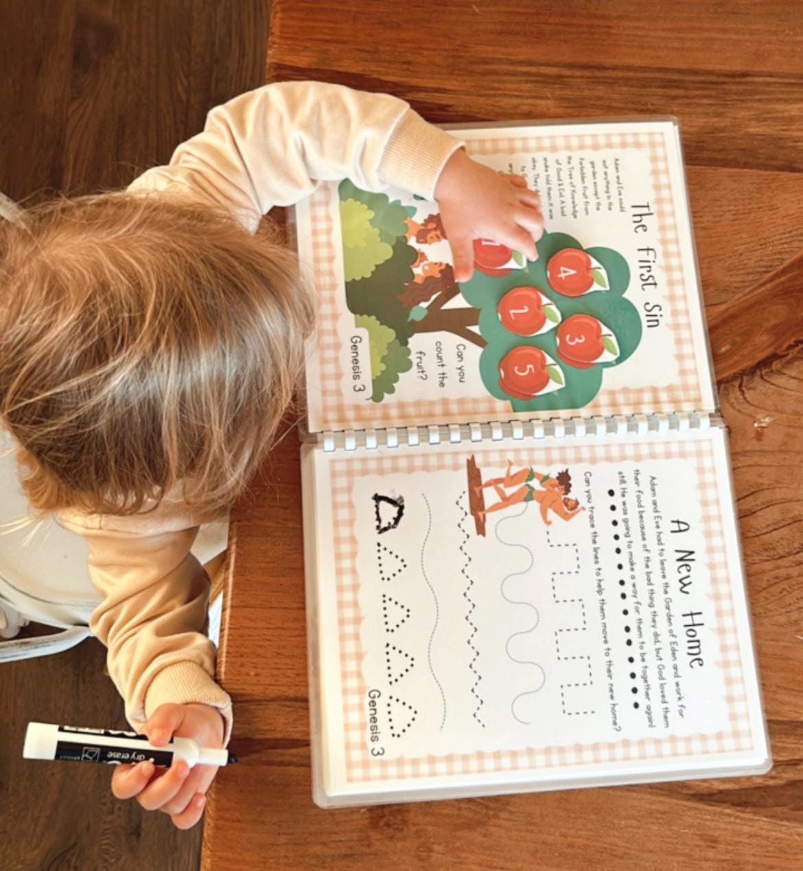Interactive Bible Story Activity Book, Montessori Learning - Etsy