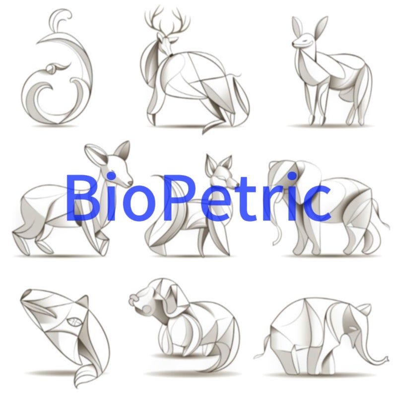 Geometric Animal Line Art Graphics Pack SVG PNG JPEG Minimalist Animal ...