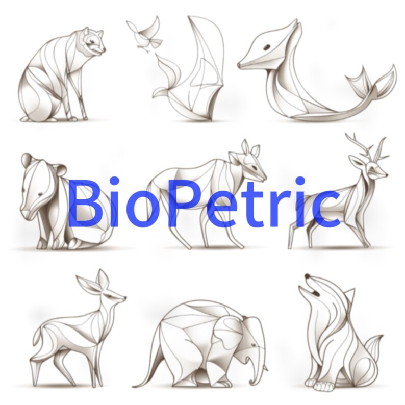 Geometric Animal Line Art Graphics Pack SVG PNG JPEG Minimalist Animal ...