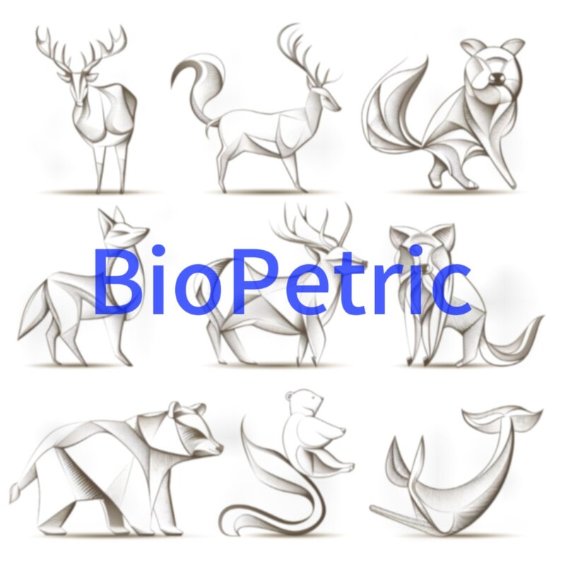 Geometric Animal Line Art Graphics Pack SVG PNG JPEG Minimalist Animal ...