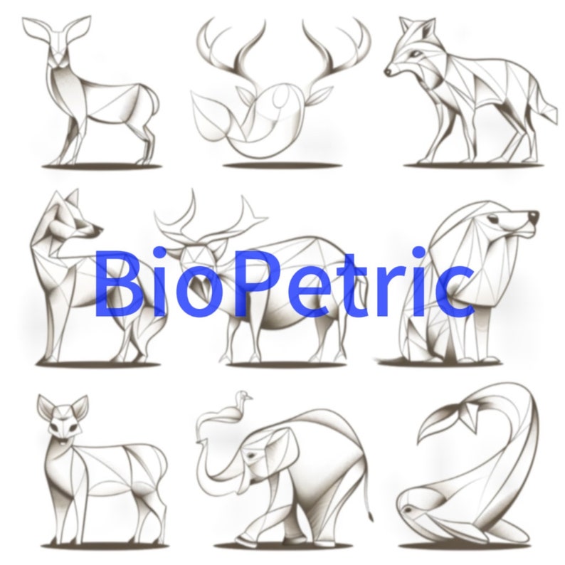 Geometric Animal Line Art Graphics Pack SVG PNG JPEG Minimalist Animal ...