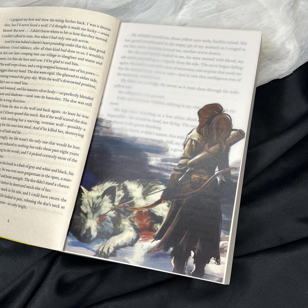ACOTAR Book Overlays – Set of 6 – Page Arts for A Court of Thorns and ...