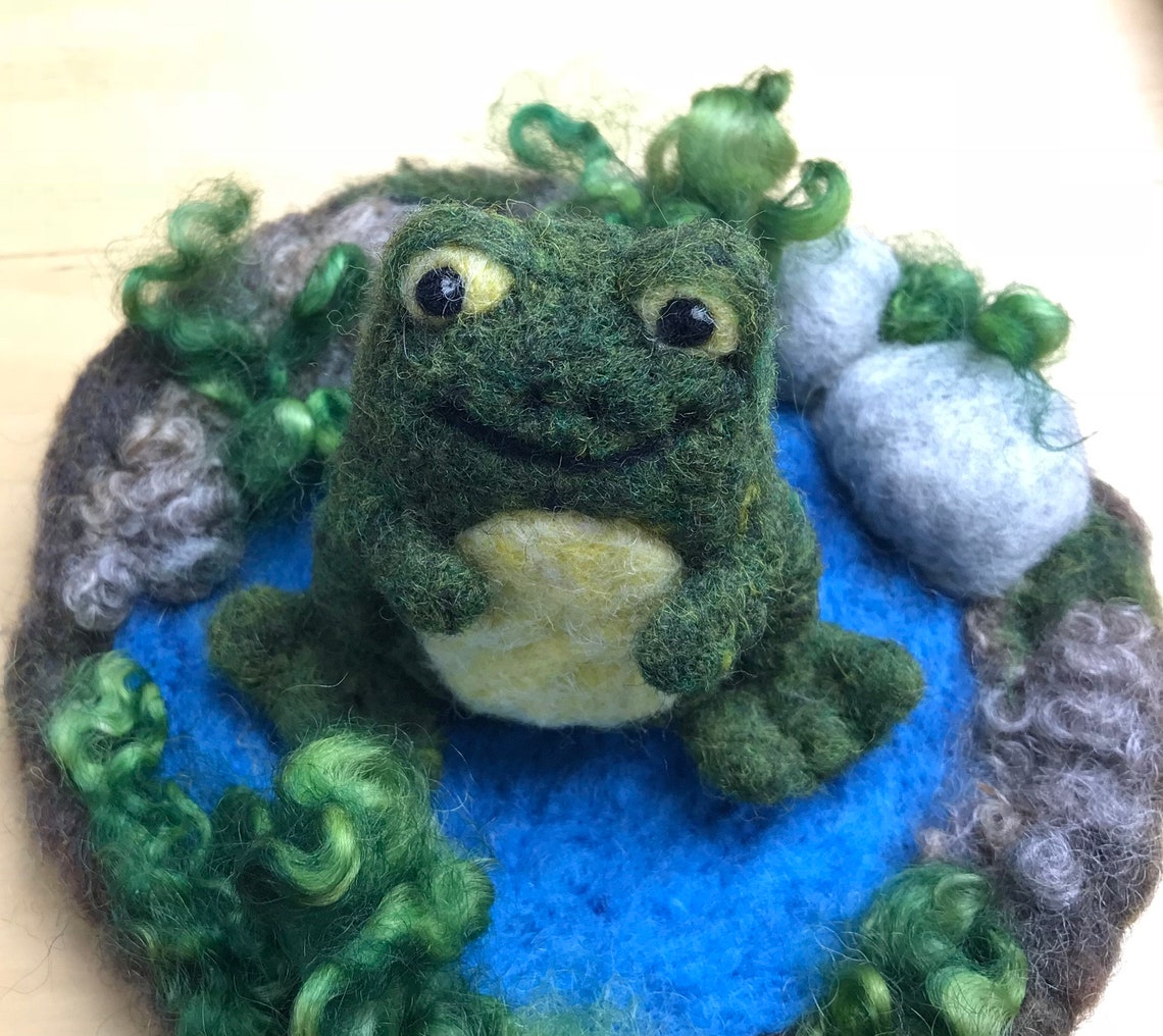 Frog Needle Felting Kit - Etsy