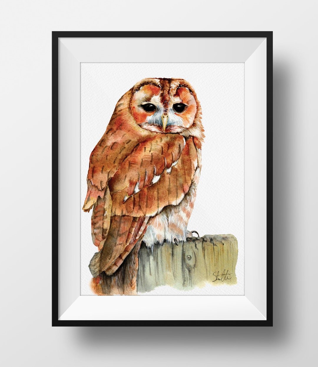 Tawny Owl Watercolor Digital Print - Etsy