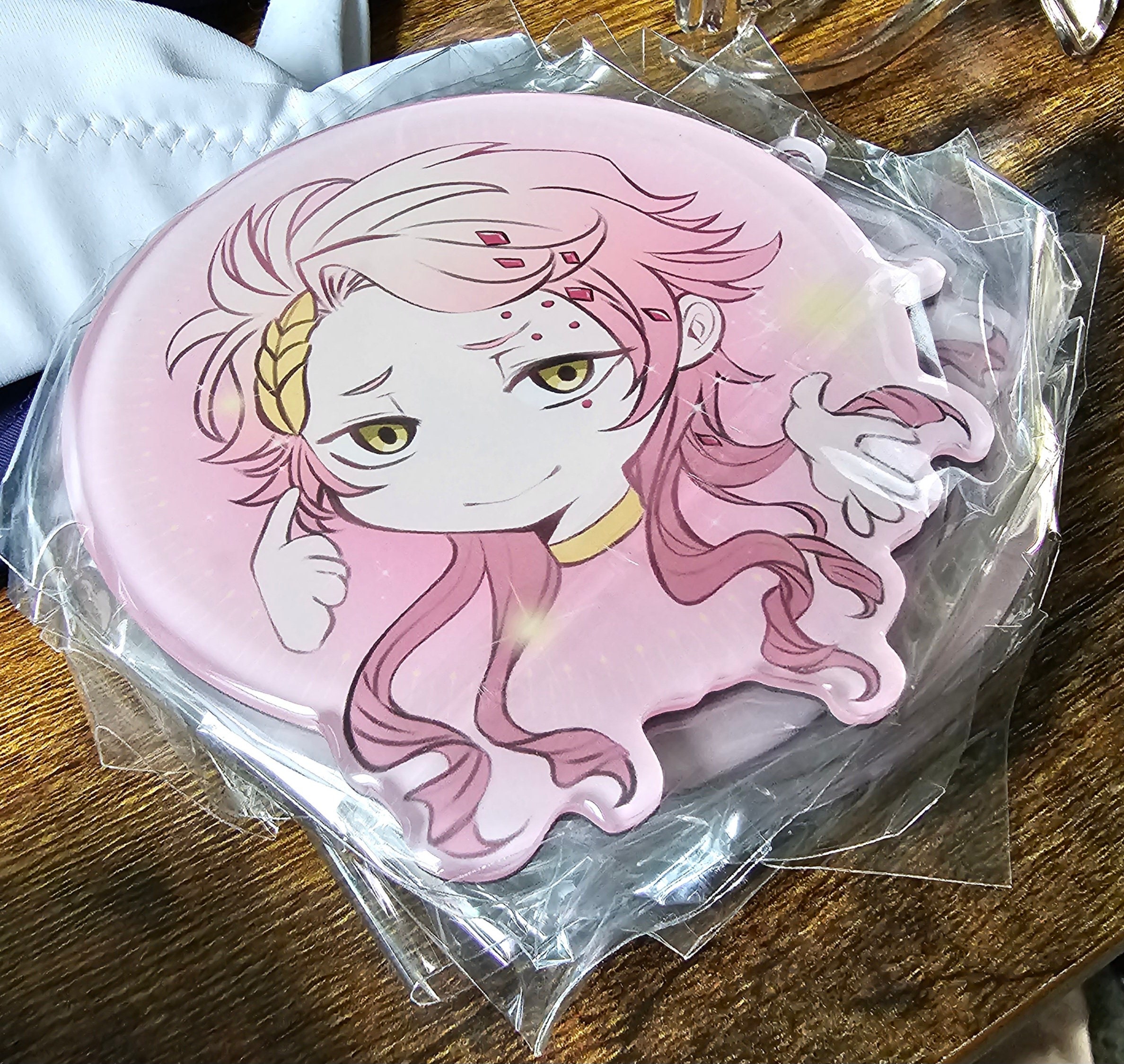 Fanmade Record of Ragnarok Magnet - Etsy