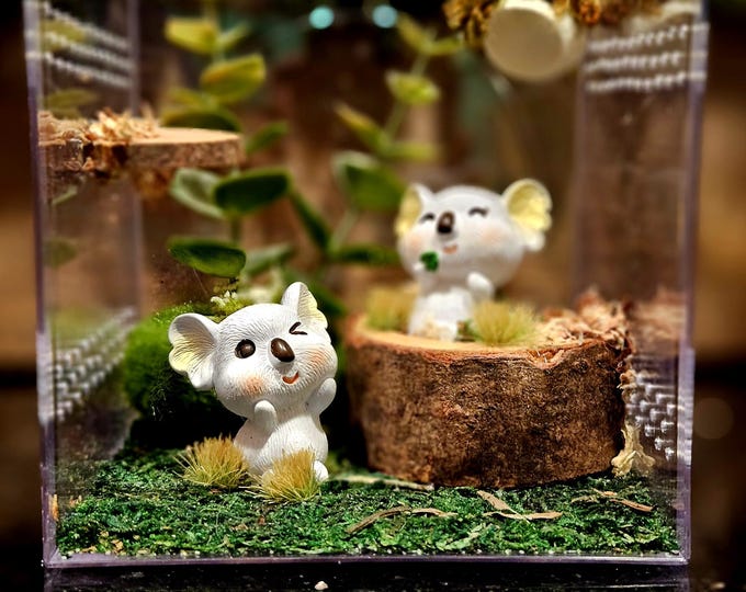 Jumping Spider Enclosure Koala Friends. 4x4 Front Opening. - Etsy