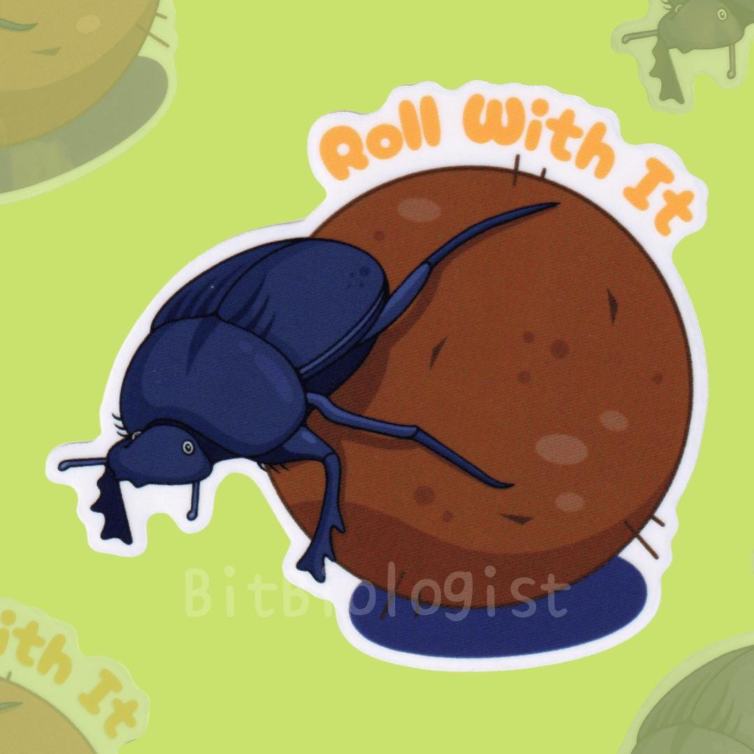 Dung Beetle - Roll With It Clear Vinyl Sticker | Wildlife Sticker - Etsy