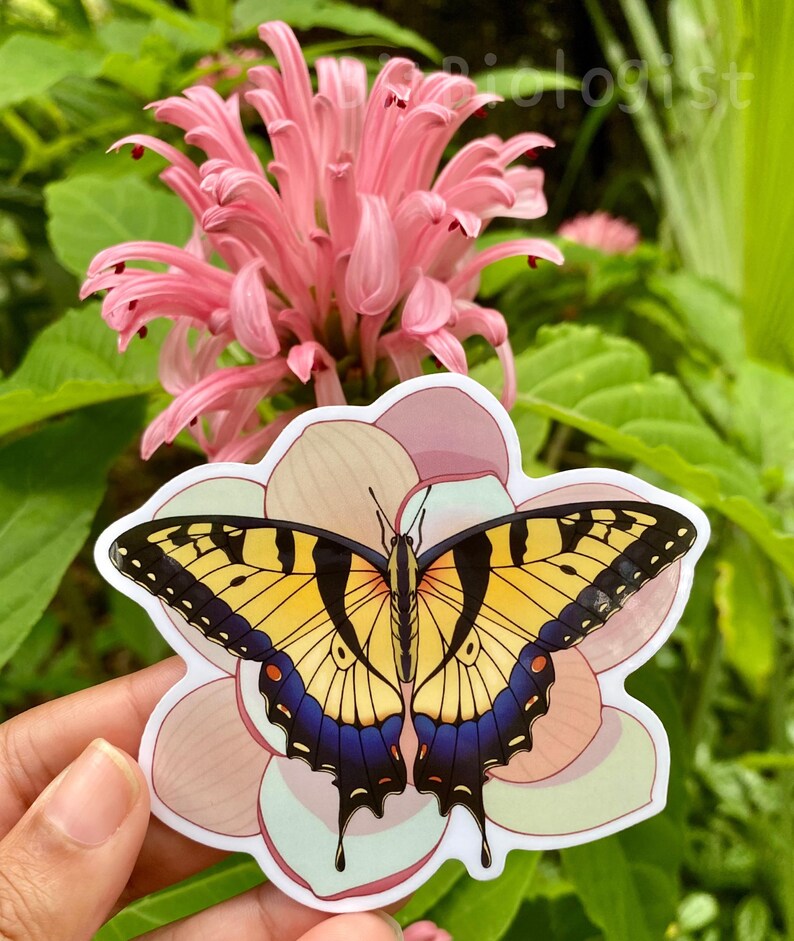 Eastern Tiger Swallowtail Butterfly and Magnolia Flower - Clear Vinyl ...