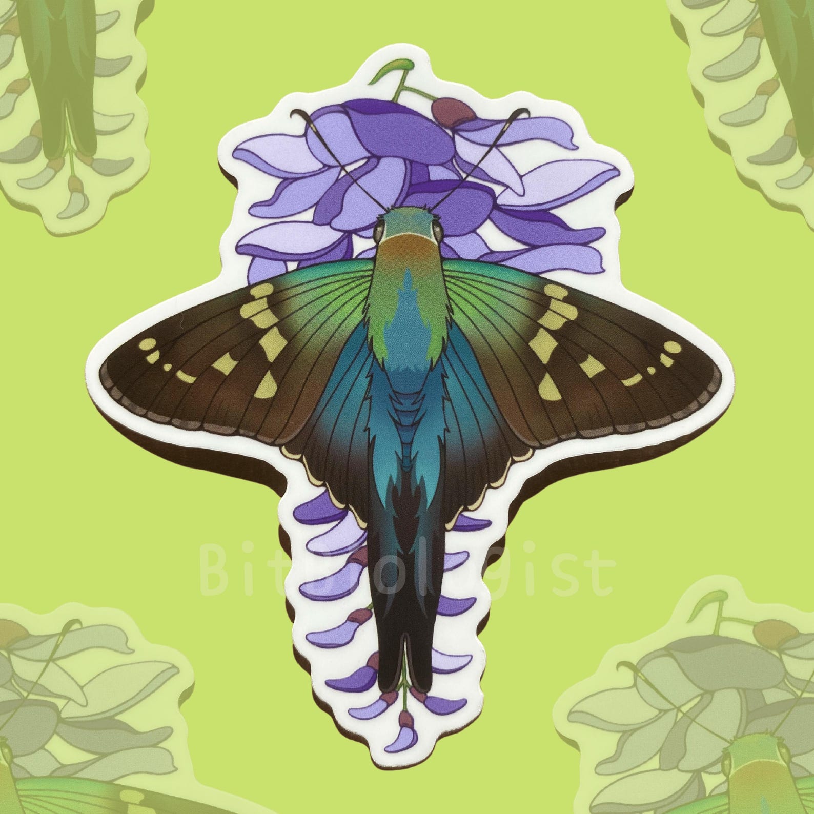 Long-tailed Skipper Butterfly and Wisteria Flower - Clear Vinyl Sticker ...