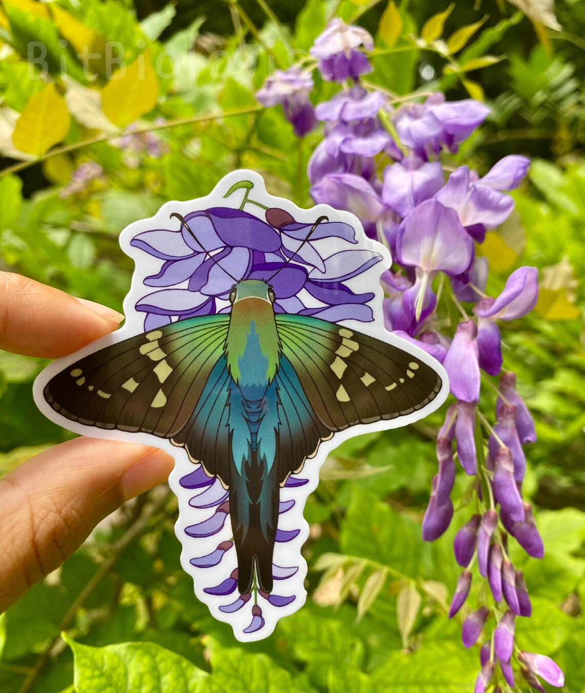 Long-tailed Skipper Butterfly and Wisteria Flower - Clear Vinyl Sticker ...