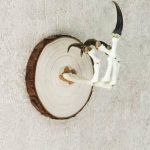 Taxidermy Middle Finger Fox Claw Bone - Etsy