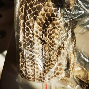 Authentic Boa Constrictor Snake Shed 59-78 In| Perfect for Art, Rituals ...
