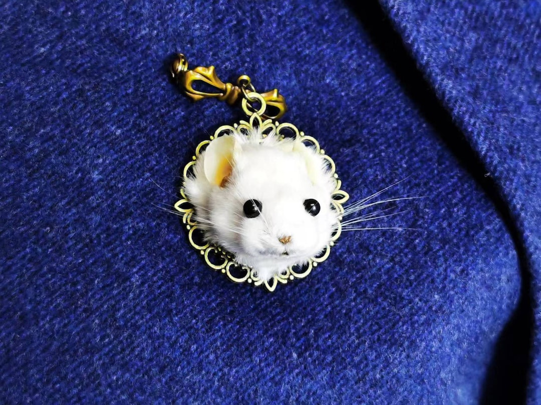 This is a Lovely Real Mouse Head Taxidermy Brooch \ Miniature Animal ...