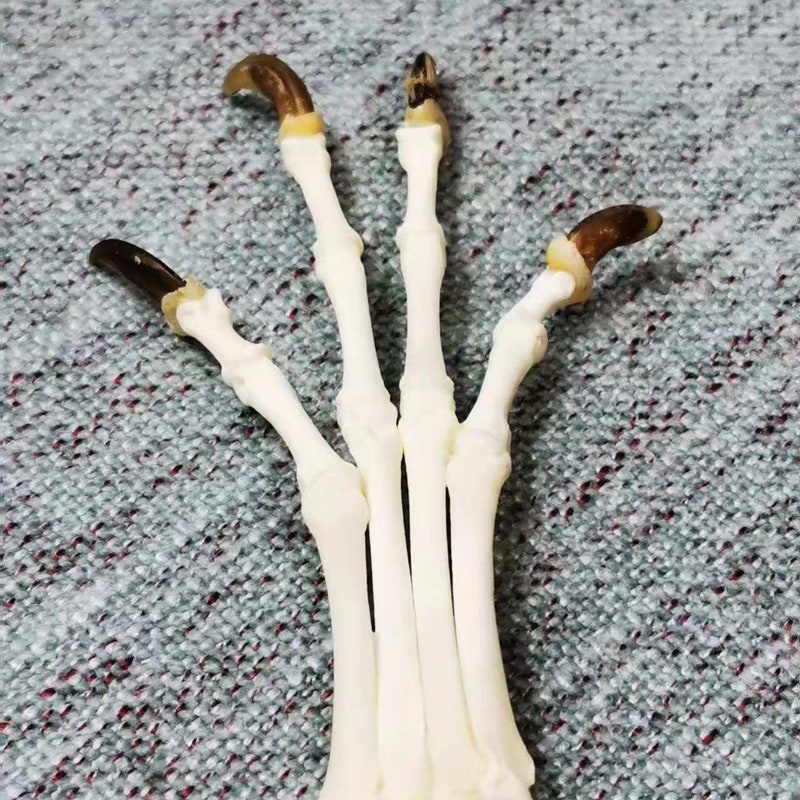 Therians Fox Paws - Etsy UK