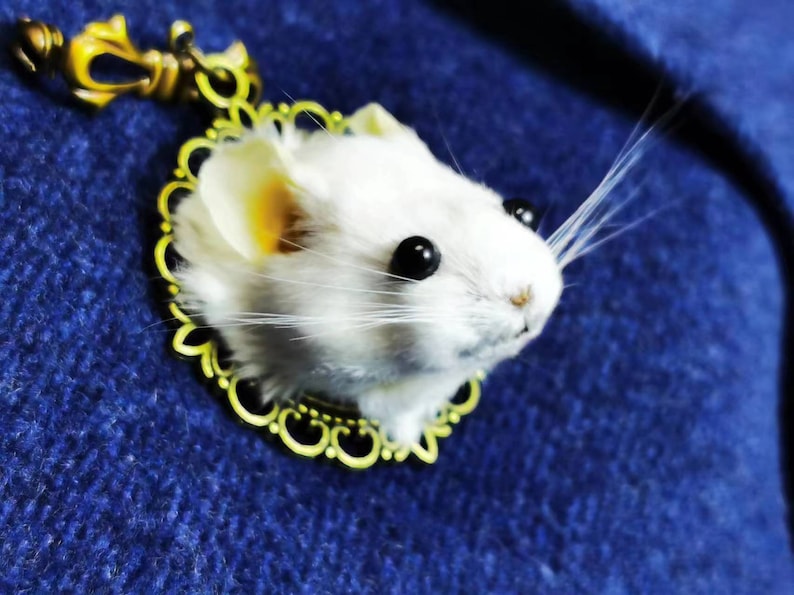 This is a Lovely Real Mouse Head Taxidermy Brooch \ Miniature Animal ...