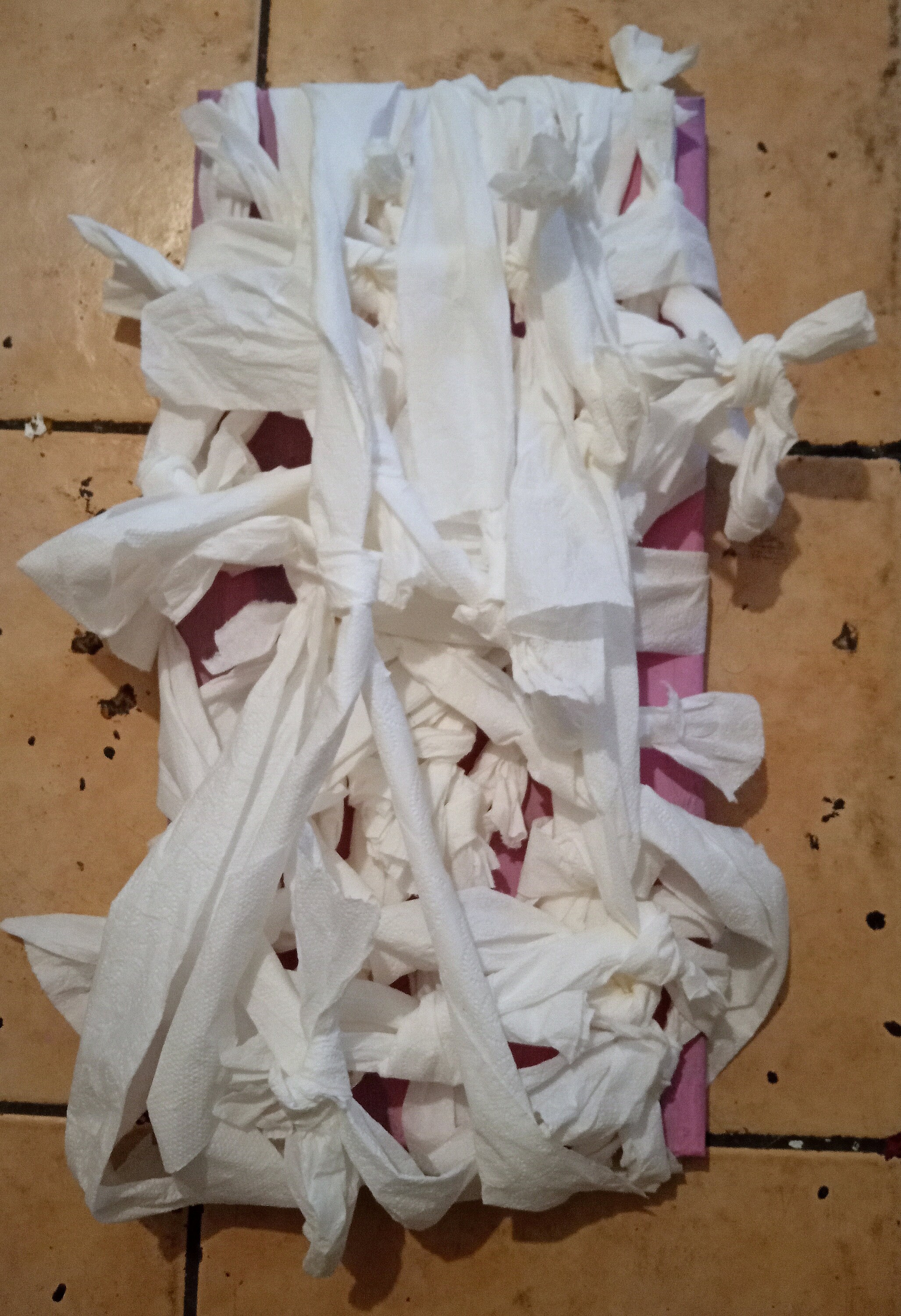 Toilet Paper Wrapped & Tied Around Canvas Frame. There is No Glue or ...